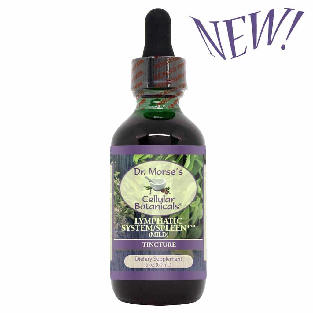 Home - NutritionVision